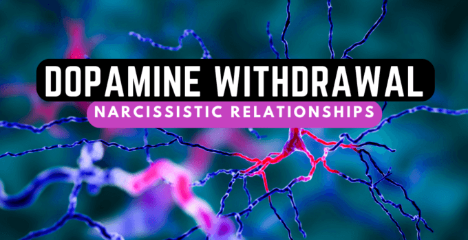 Dopamine Withdrawal: 6 Ways to Tell if You Are Idealizing the ...